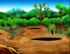 The Dreaming - Aboriginal Nations Australia